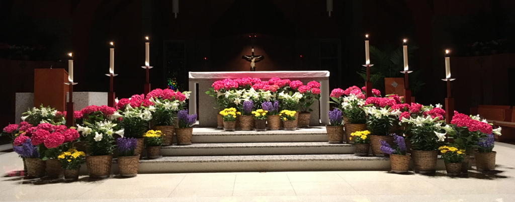 Church Environment | Saint Katharine of Siena, Wayne PA | Catholic Church